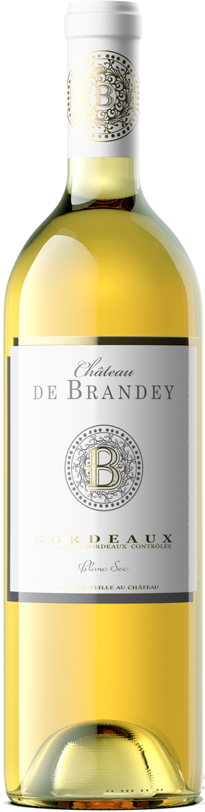 Château de Brandey | Présentation du vin & Notes